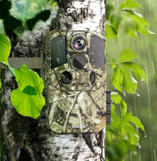 Useful Trail Camera Tips for Rainy Season – WOSPORTS