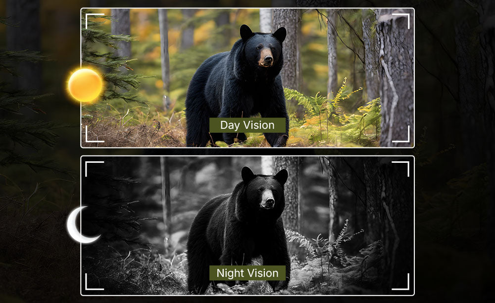 A Beginner’s Guide to Night Vision Binoculars and How Digital Night Vi ...