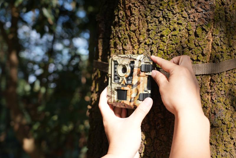 How to Secure Your Trail Camera Effectively – WOSPORTS